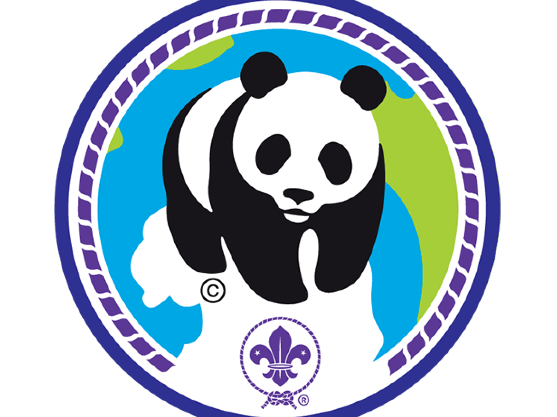 World Scouting partners with WWF to launch new Panda Badge for urgent action on nature | WOSM